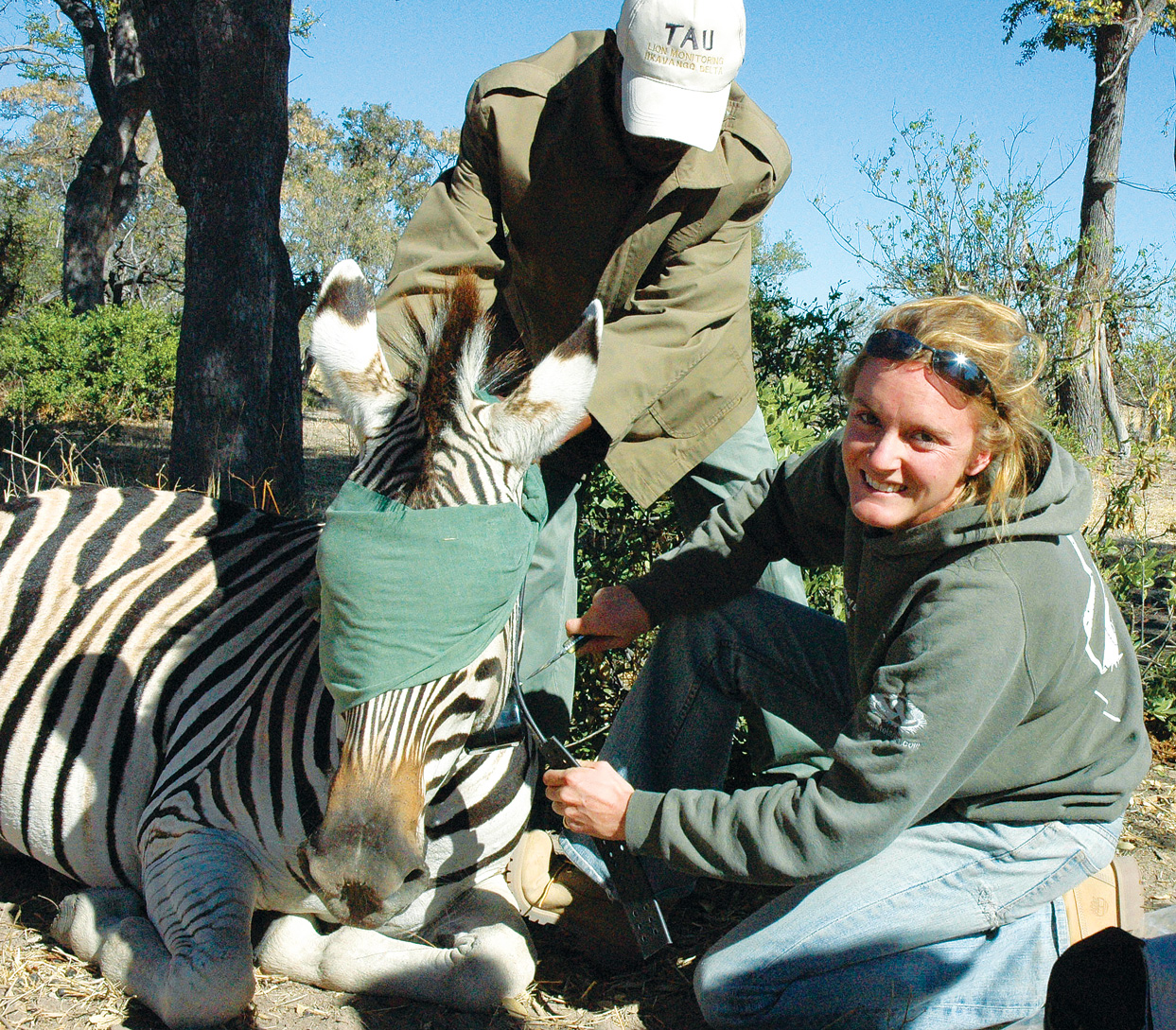 Using Earth Observation Data to Better Understand Zebra Migrations ...